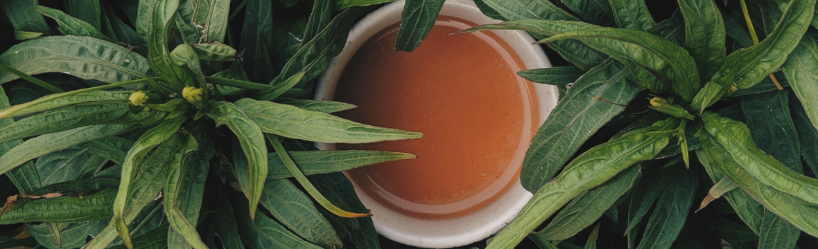 The Full History of Taiwanese Tea – Bubble Tea Island