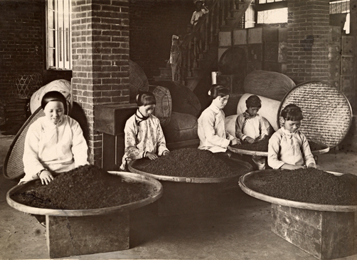 The Full History of Taiwanese Tea – Bubble Tea Island