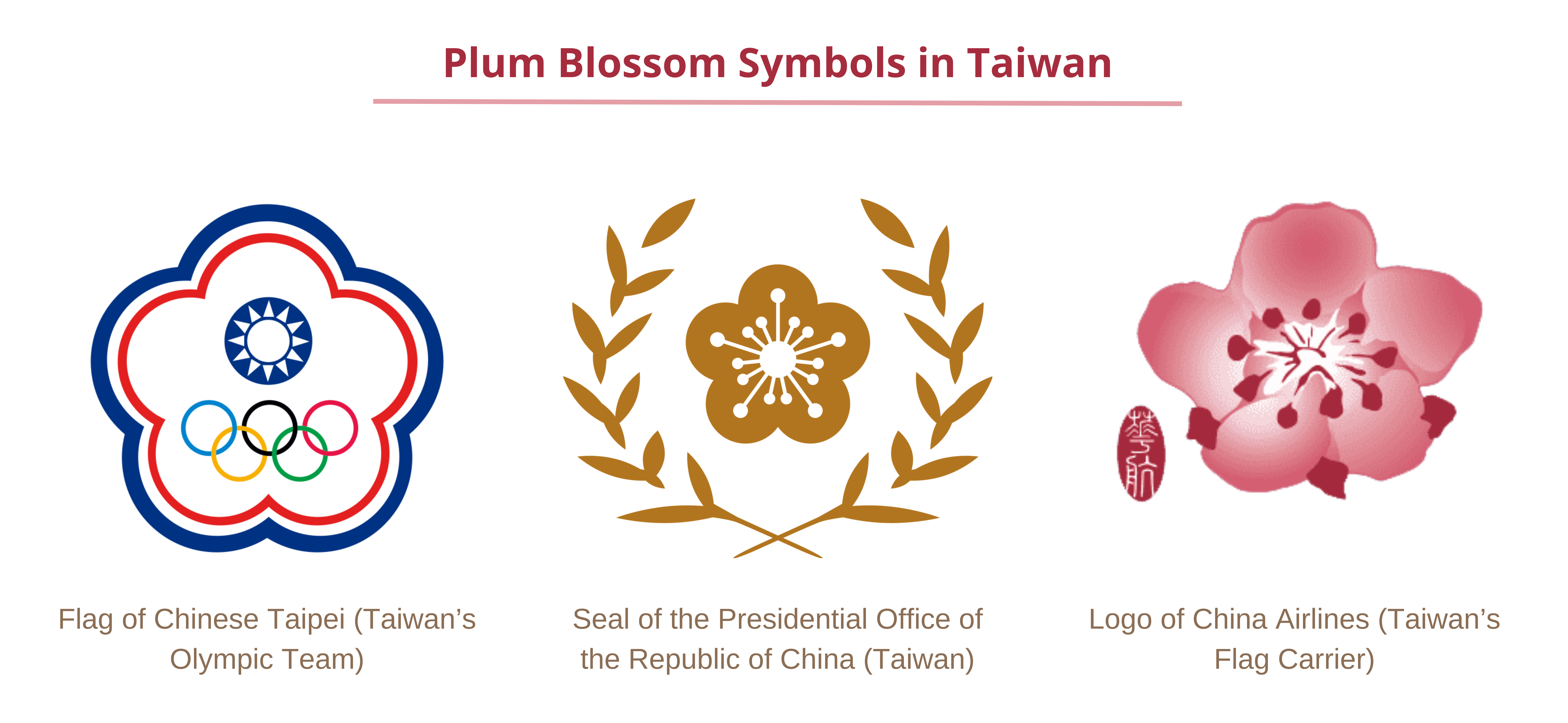 Plum Blossom | National Flower of Taiwan – Bubble Tea Island