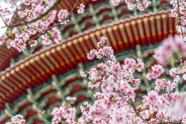 Visiting Taipei & Taiwan in February (2025) – Bubble Tea Island