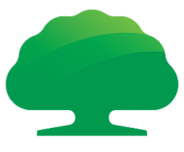 Top 10 Taiwanese Banks by Performance – Bubble Tea Island