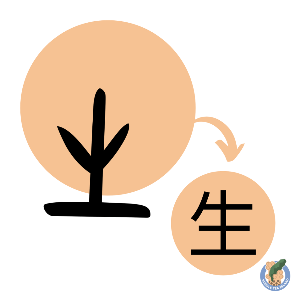 Chinese Symbol Of Life
