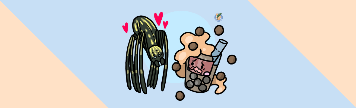 Hiking in Taiwan: Spotting the Big Spider – Bubble Tea Island